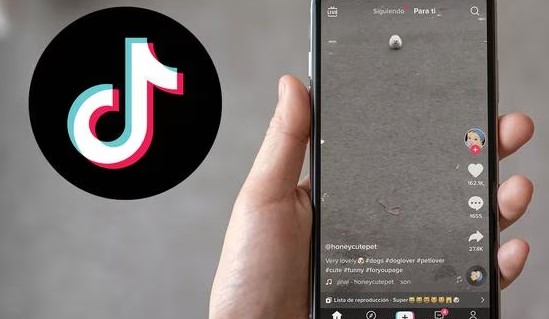 🥇【Cómo Descargar Videos de TikTok Sin Marca de Agua】 | 🕹️SitioGame🕹️ 🥇【Cómo Descargar Videos de TikTok Sin Marca de Agua】 | 🕹️SitioGame🕹️